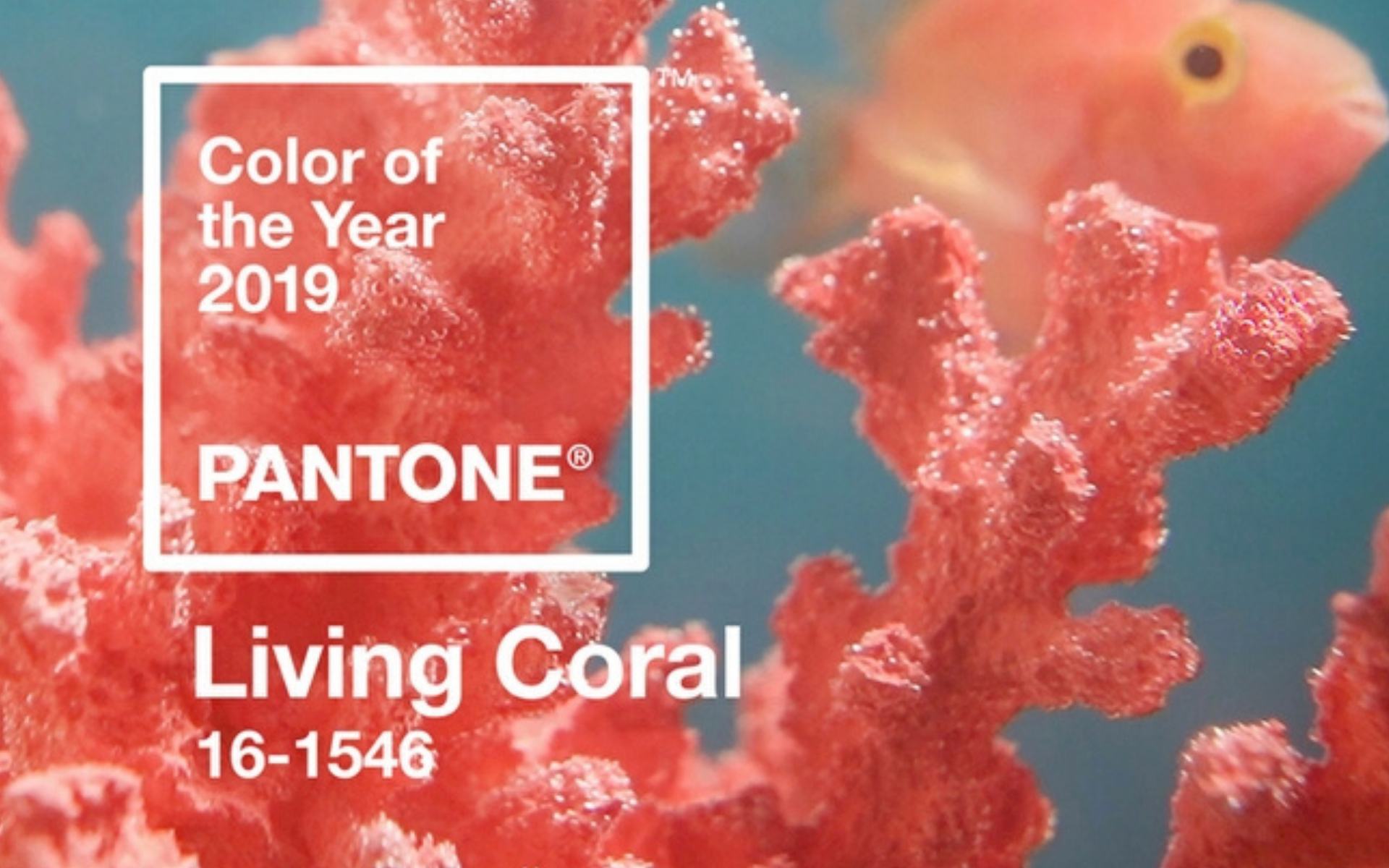 Pantone’den Doğaya Saygı: Yaşayan Renkler | SuCo Blog